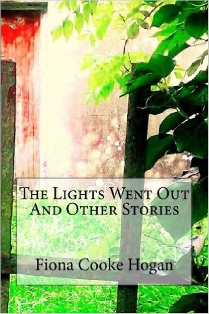 A Conversation with Author Fiona Cooke Hogan – Pam Lecky Books